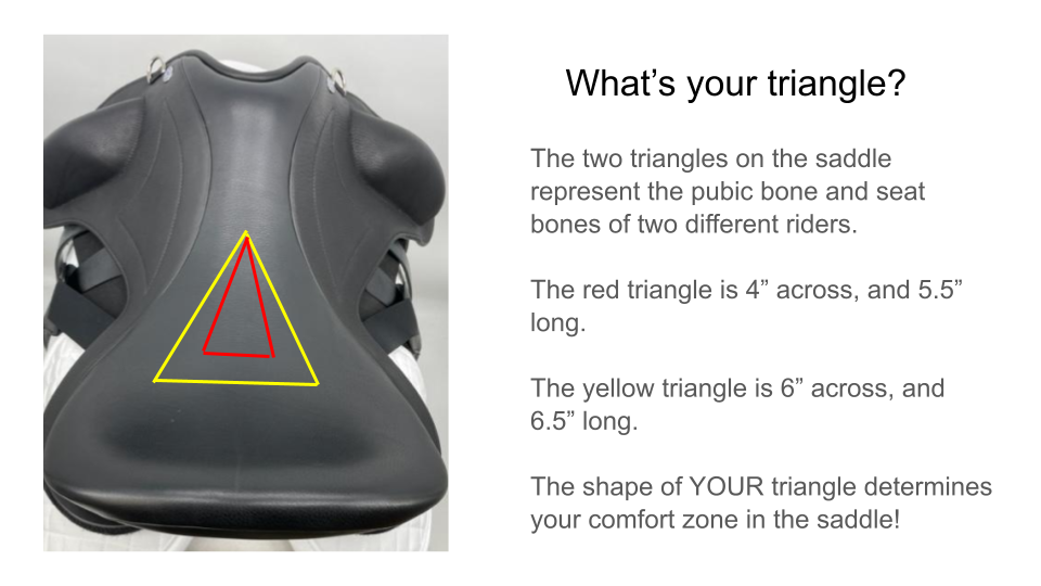 Getting great saddle fit for dressage riders: understanding seat size ...