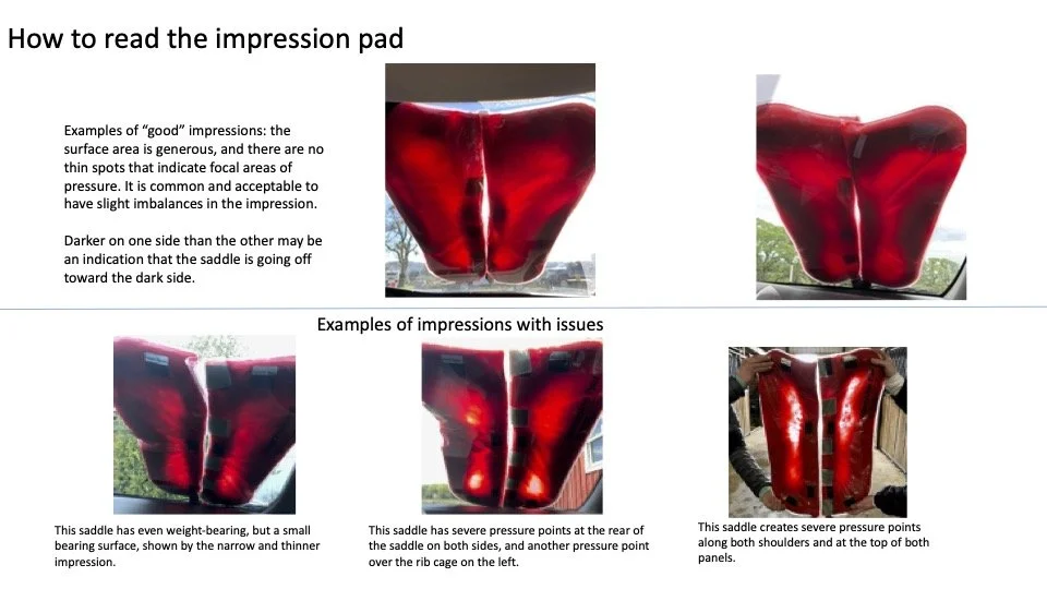 How to Read the Impression Pad — EQ Saddle Science