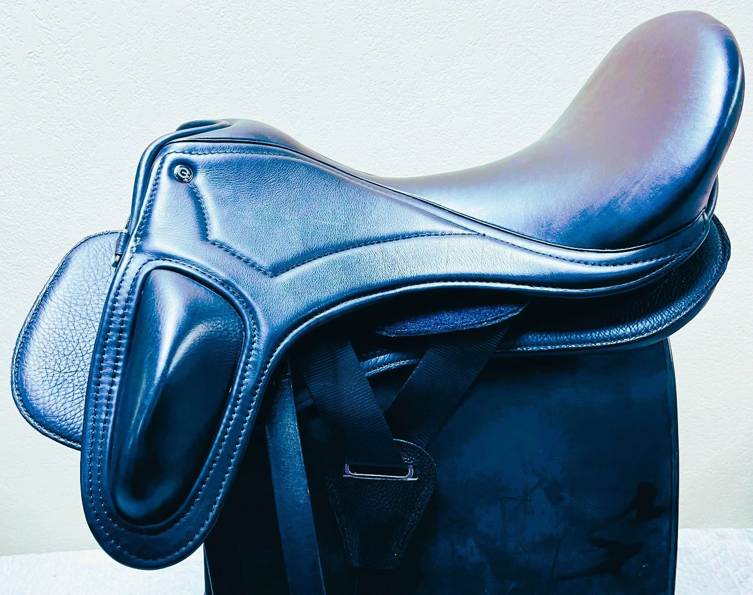 Used Saddles — EQ Saddle Science