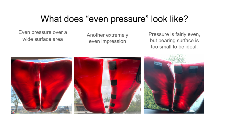 Impression Pad Info — EQ Saddle Science