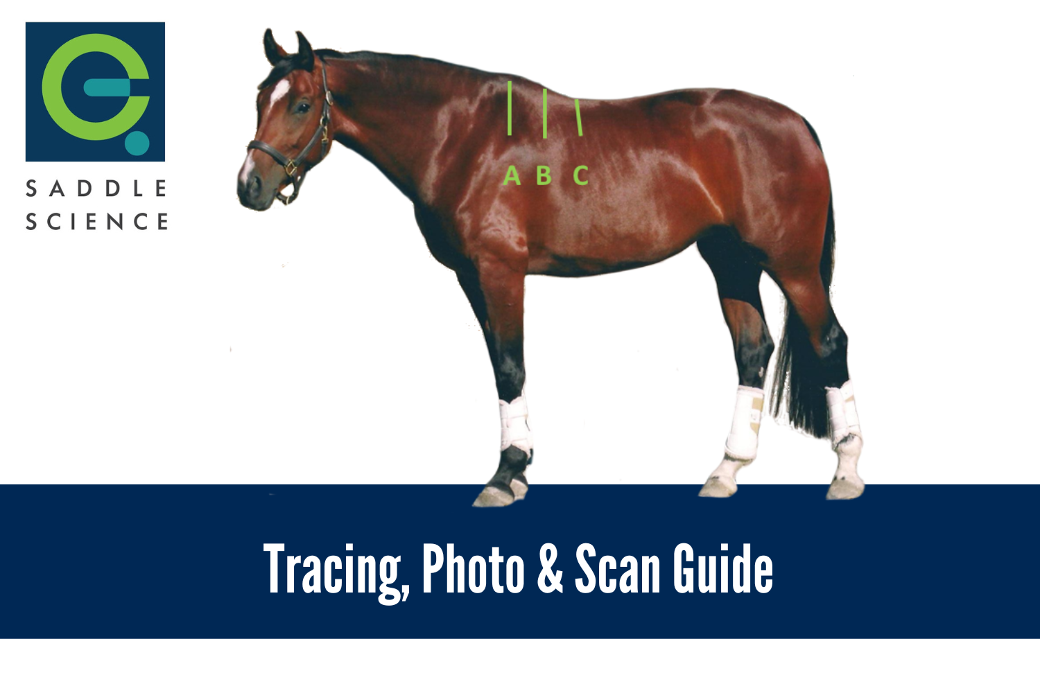 Tracing, Photo & Scan Guide — EQ Saddle Science
