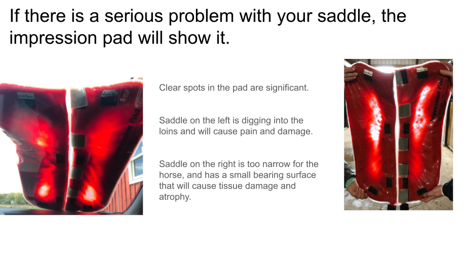 Impression Pad Info — EQ Saddle Science