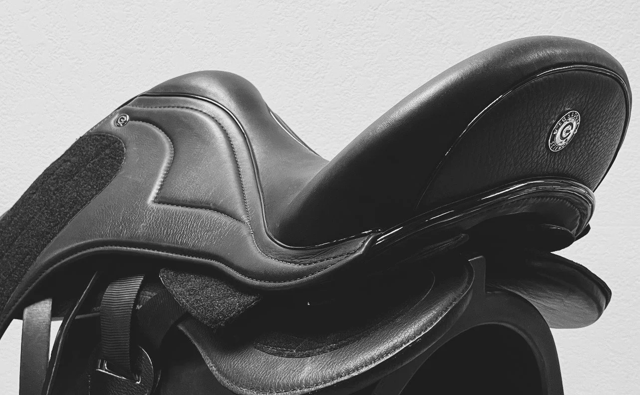 Used Saddles — EQ Saddle Science