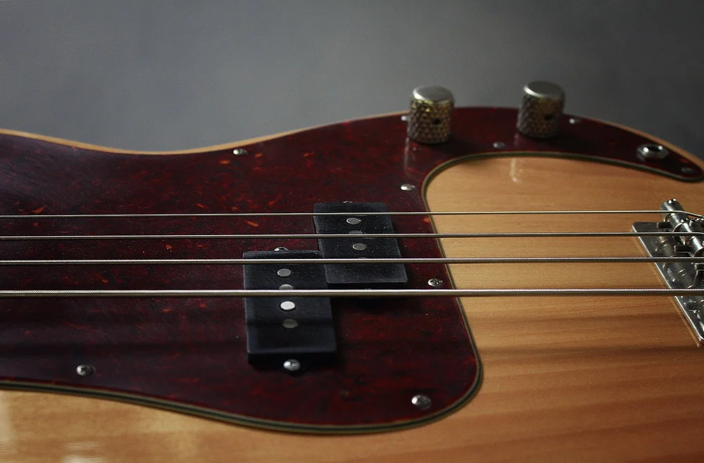 Basses — LsL Instruments I Discover Your Dream Guitar Or Dream Bass
