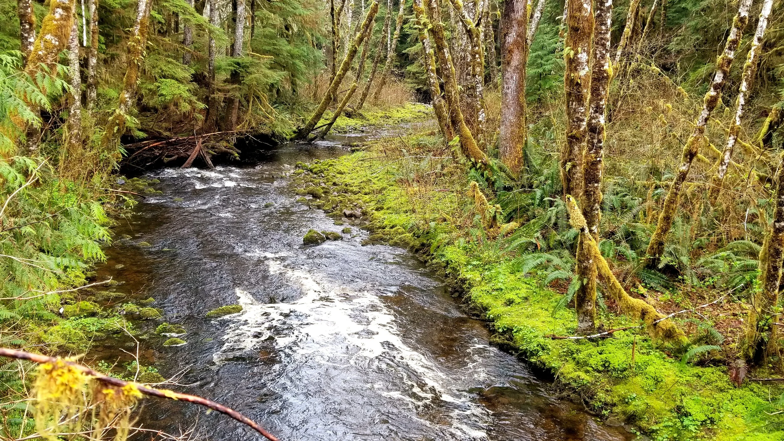 Watershed Ecology — 10,000 Years Institute