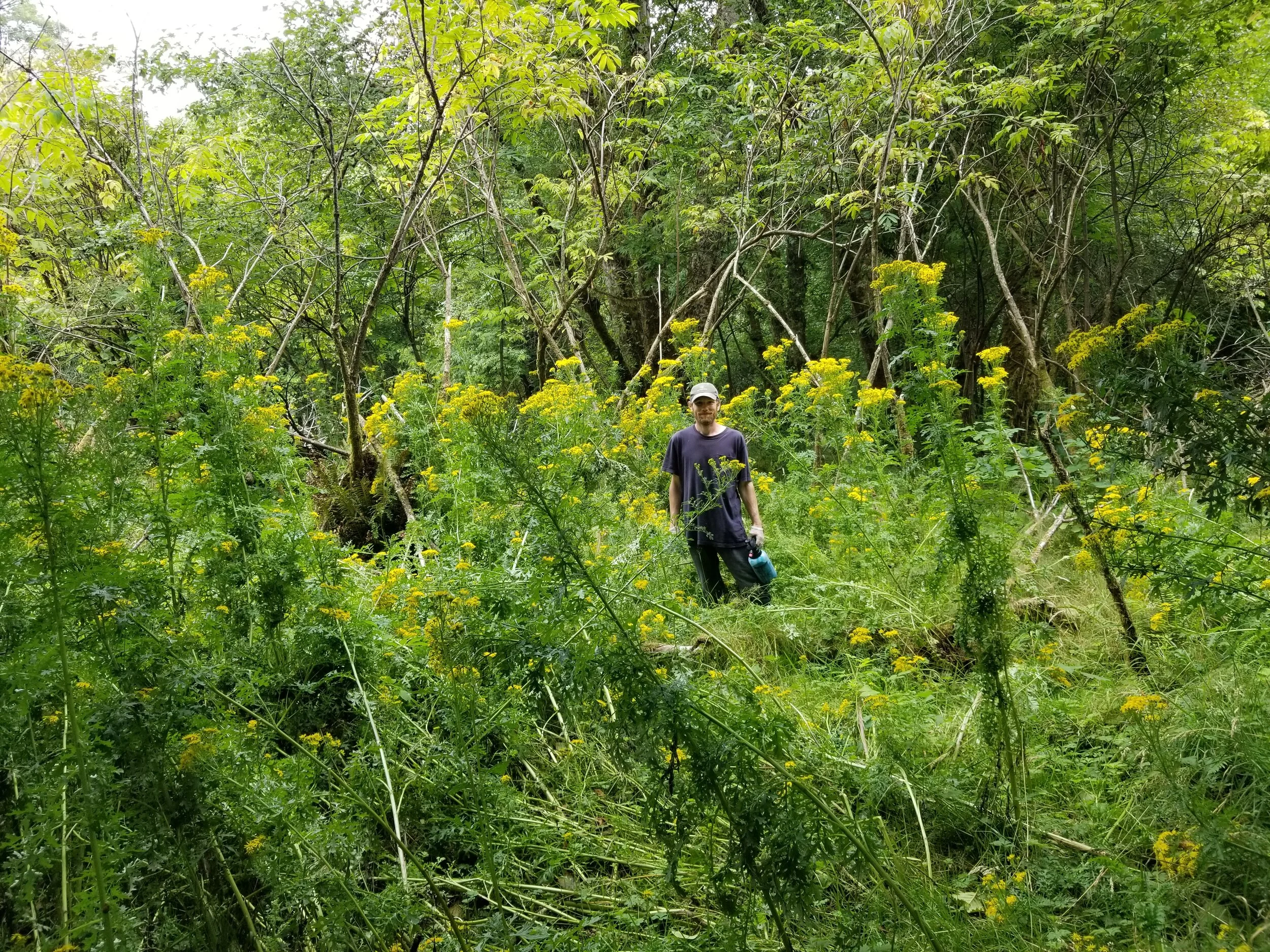 Invasive Species — 10,000 Years Institute