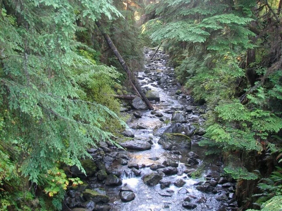 Headwater Streams — 10,000 Years Institute