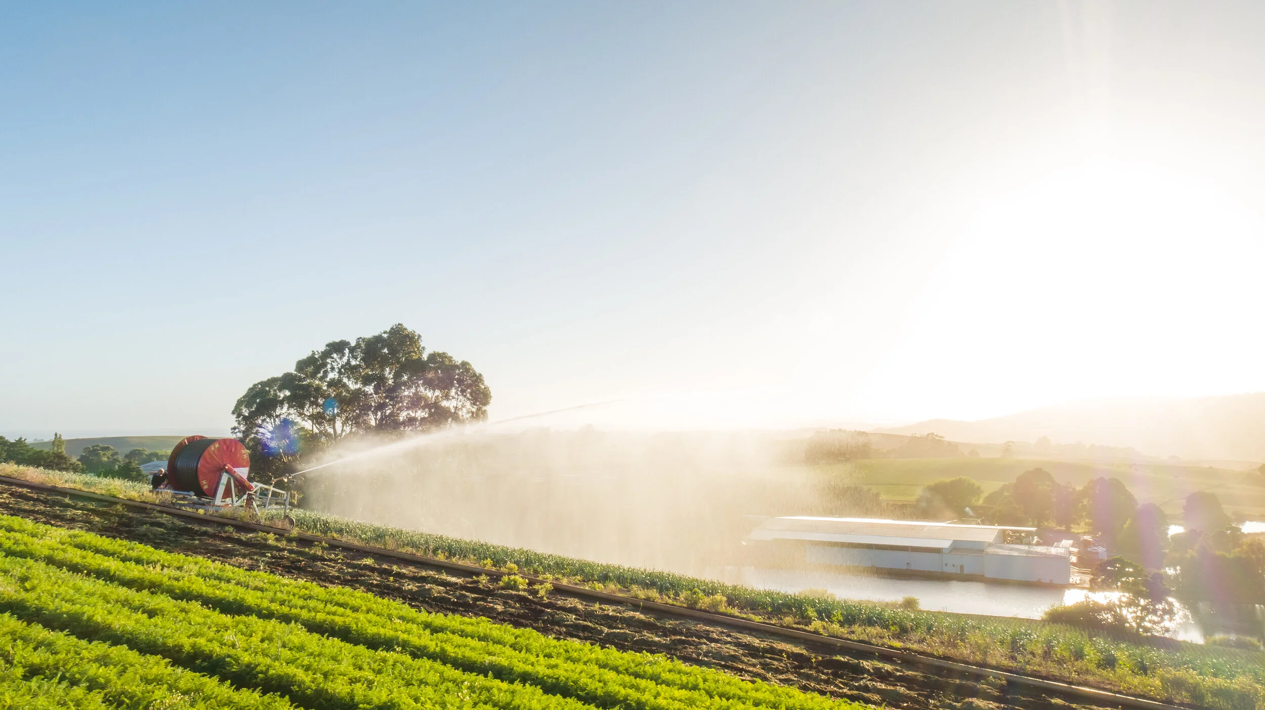 Agline — Irrigation