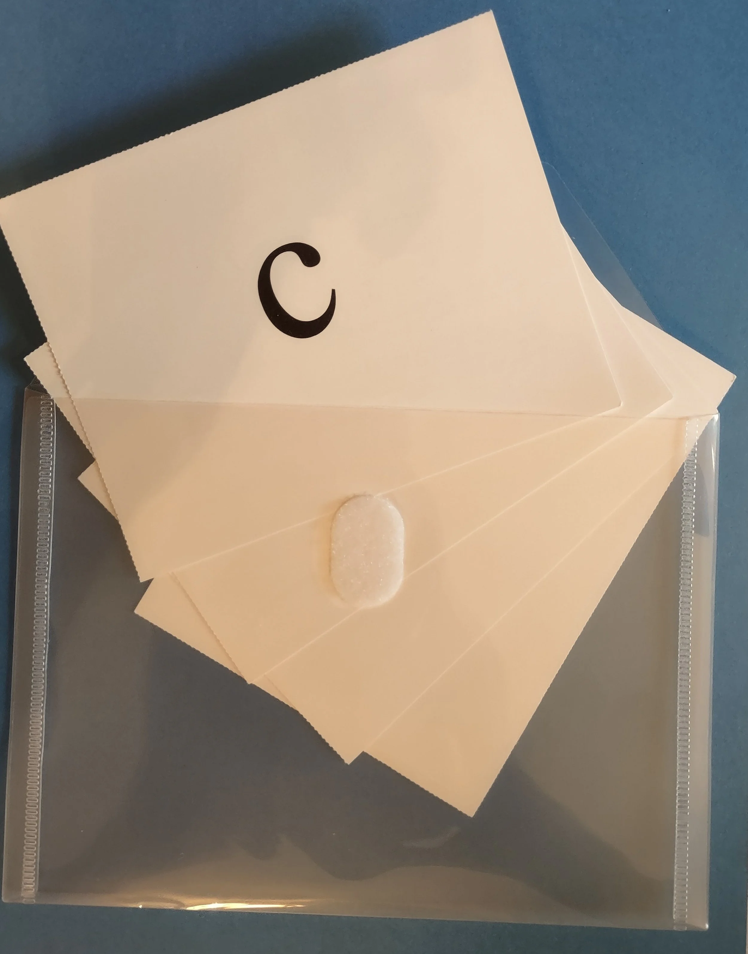 Spell to Write and Read SWR Spelling Curriculum Supplies — Wise Spelling