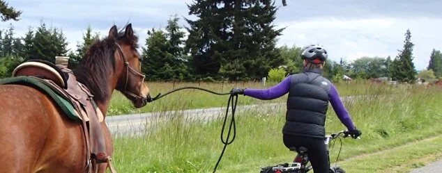 Grace Lambert — Posture First Exercise Therapy