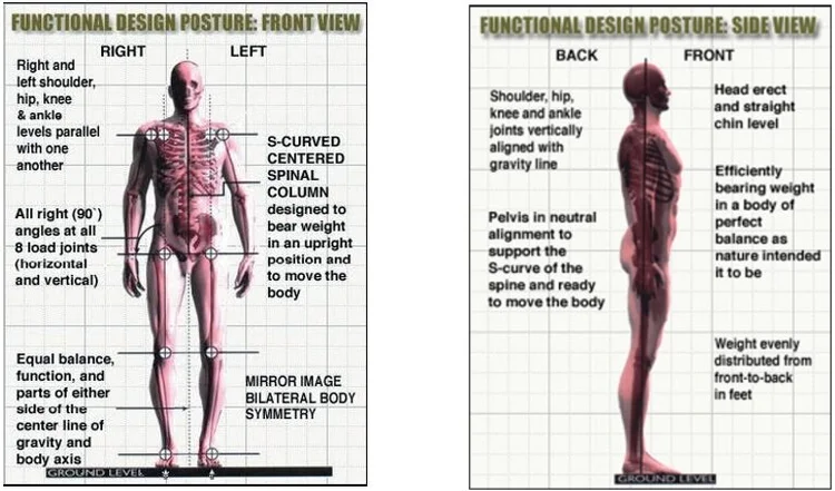 What is the Egoscue Method? — Posture First Exercise Therapy