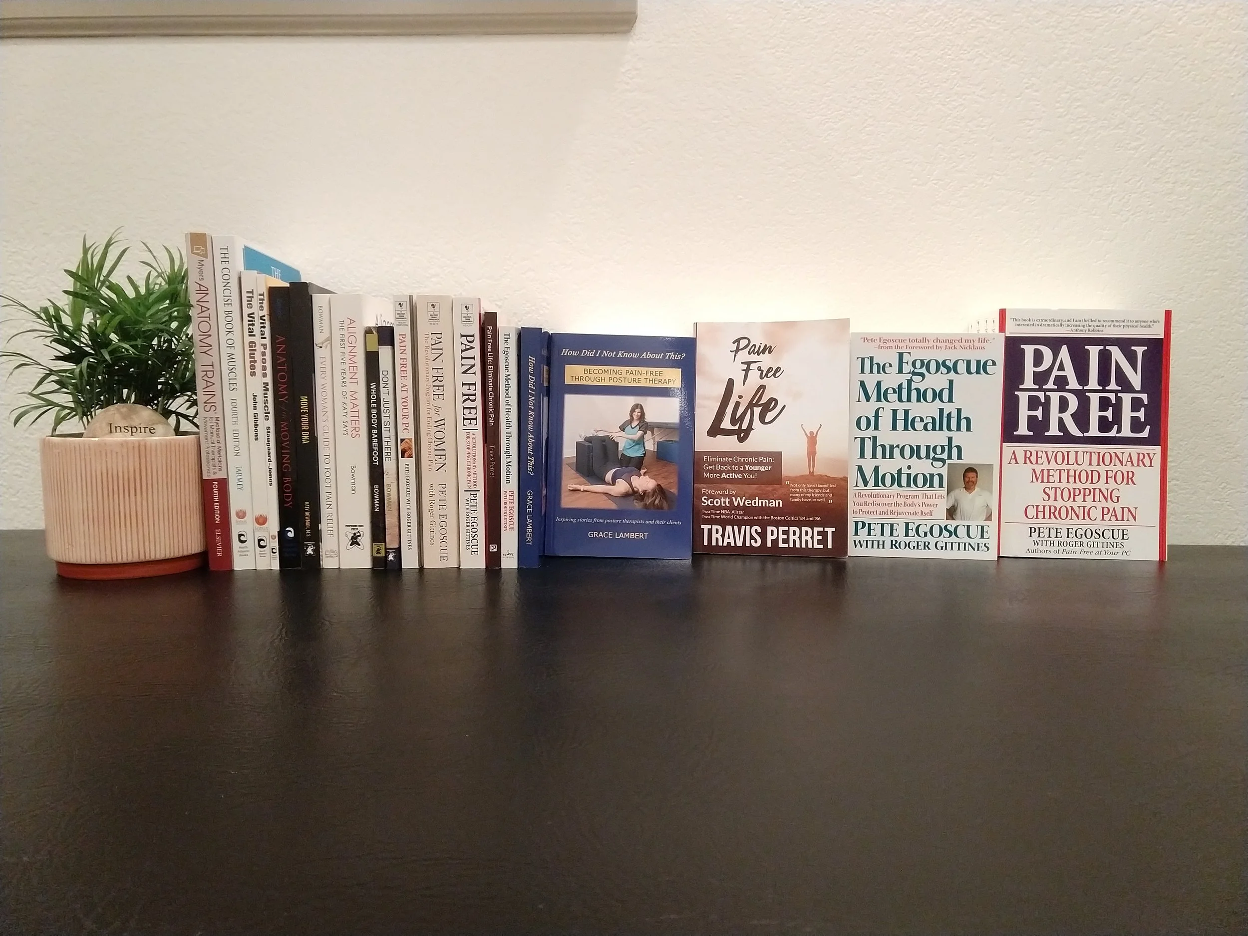 Books — Posture First Exercise Therapy