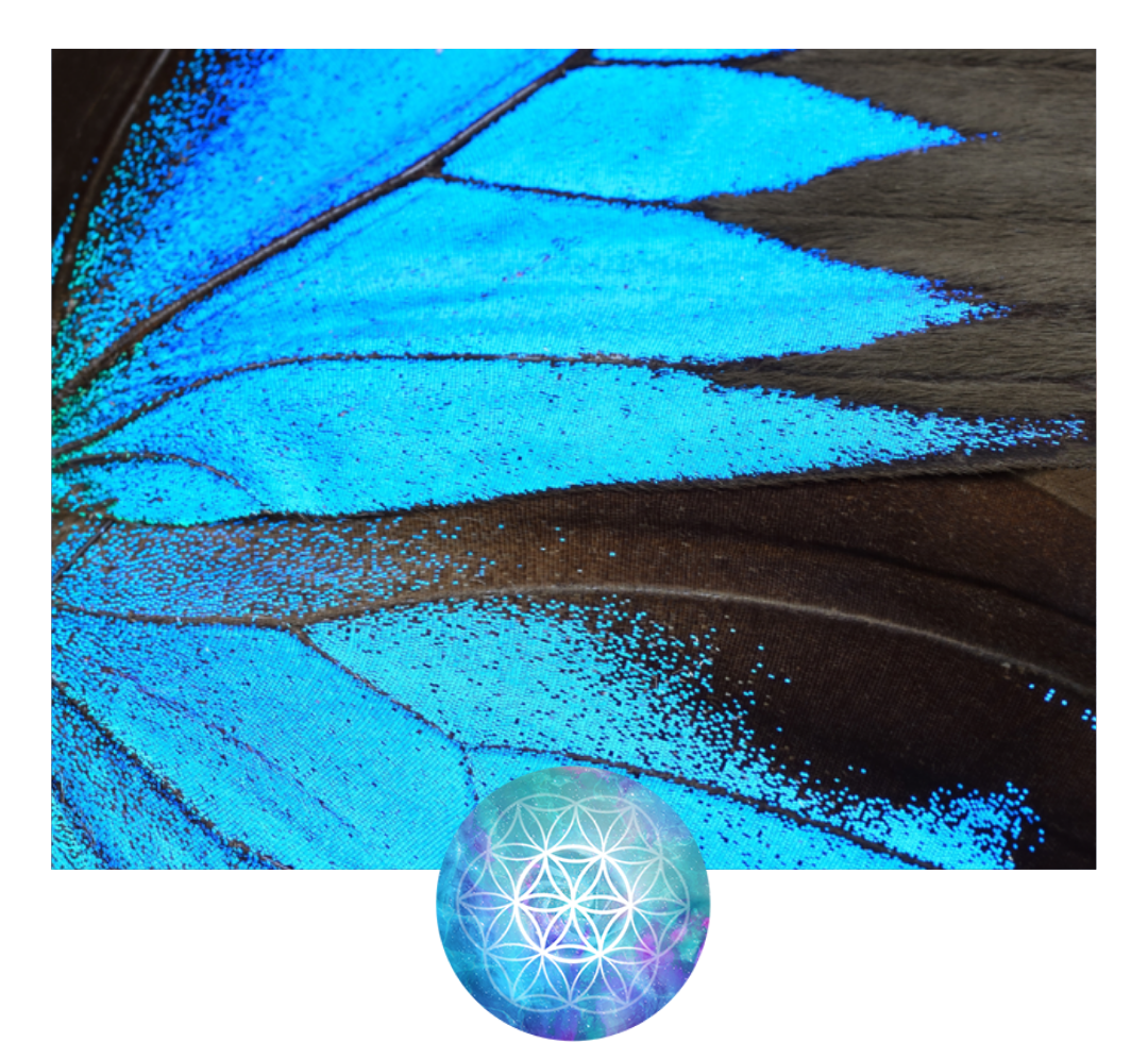 Awakening Soul Mastery