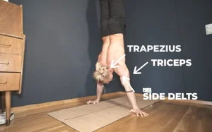 90 Degree Handstand Push-up Tutorial - A step by step guide — BERG MOVEMENT