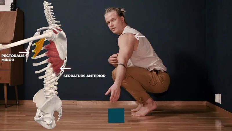 How to Learn Tuck Planche in 3 Steps — BERG MOVEMENT