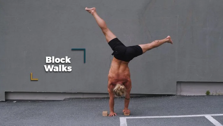 One Arm Handstand - Drills and Progressions when starting out — BERG ...
