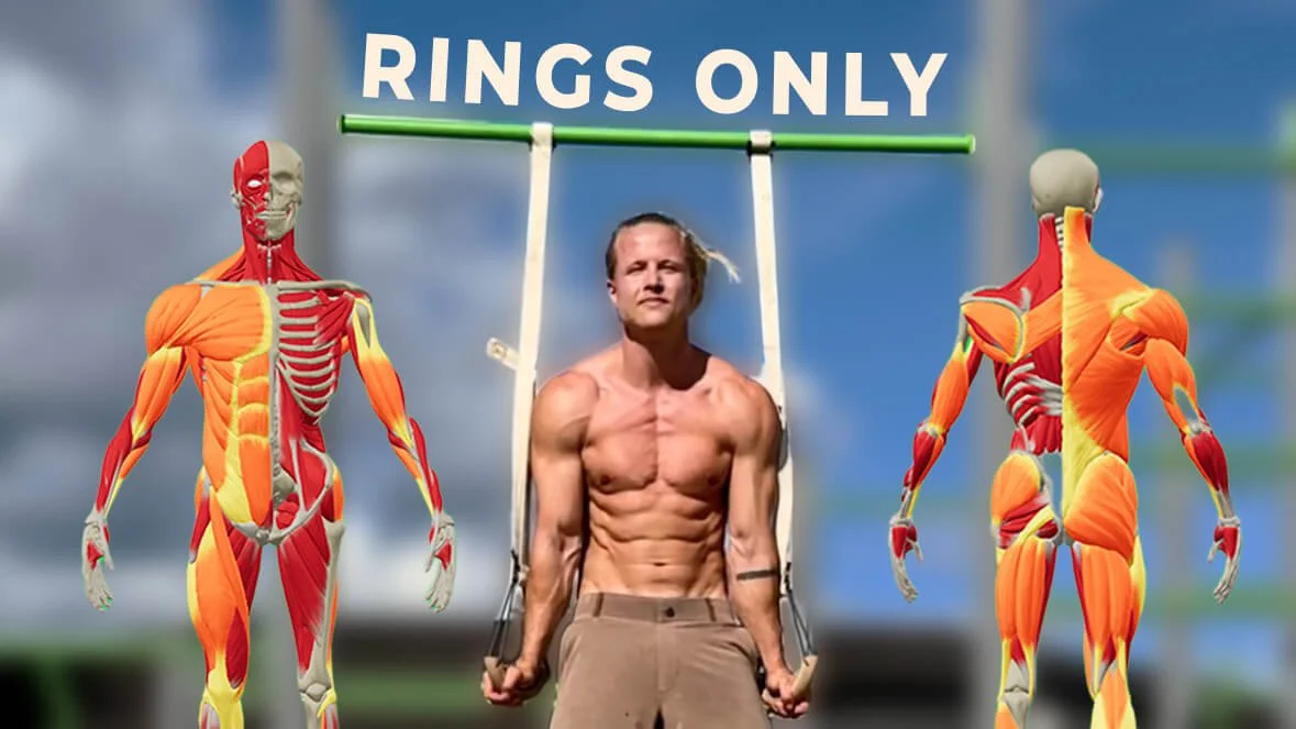 The Only 5 Gym Ring Exercises You Need! — BERG MOVEMENT