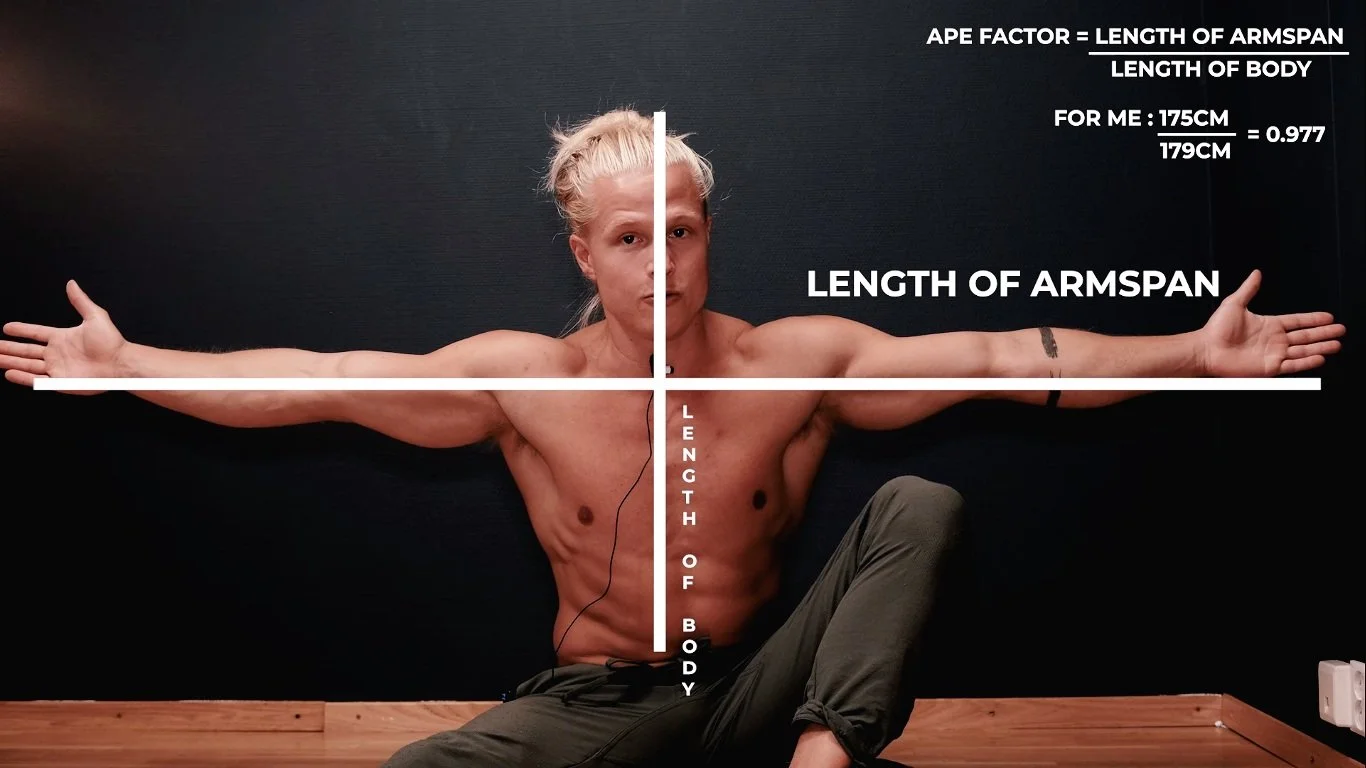Learn the planche in 4 steps: Uncommon strategies and best progressions ...
