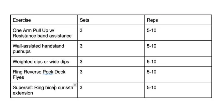 Rings Bodyweight Workout with Magnus Midtbo — BERG MOVEMENT