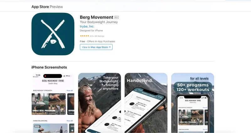 Rings Bodyweight Workout with Magnus Midtbo — BERG MOVEMENT