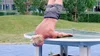 Learn the planche in 4 steps: Uncommon strategies and best progressions ...