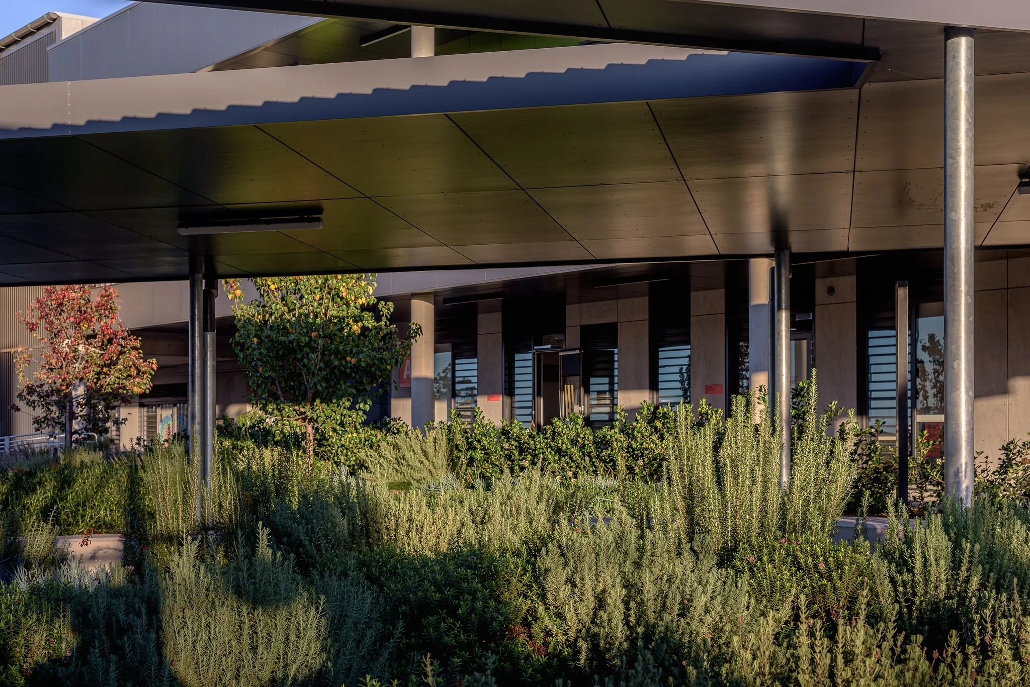 Barramurra Public School, Catherine Fields — TaylorBrammer
