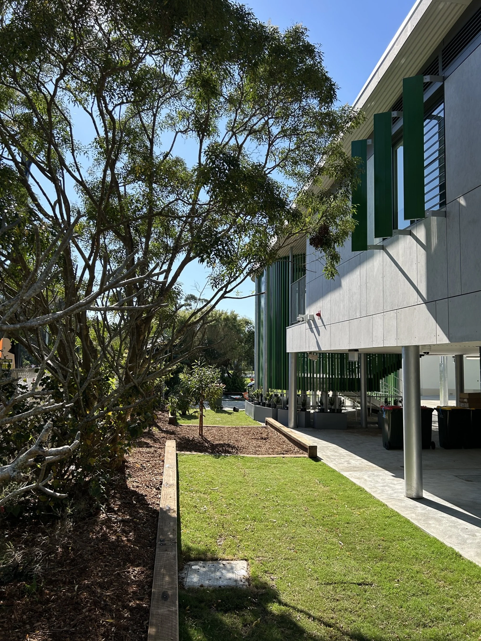 Rebuilding for Resilience: Northern Rivers Schools — TaylorBrammer