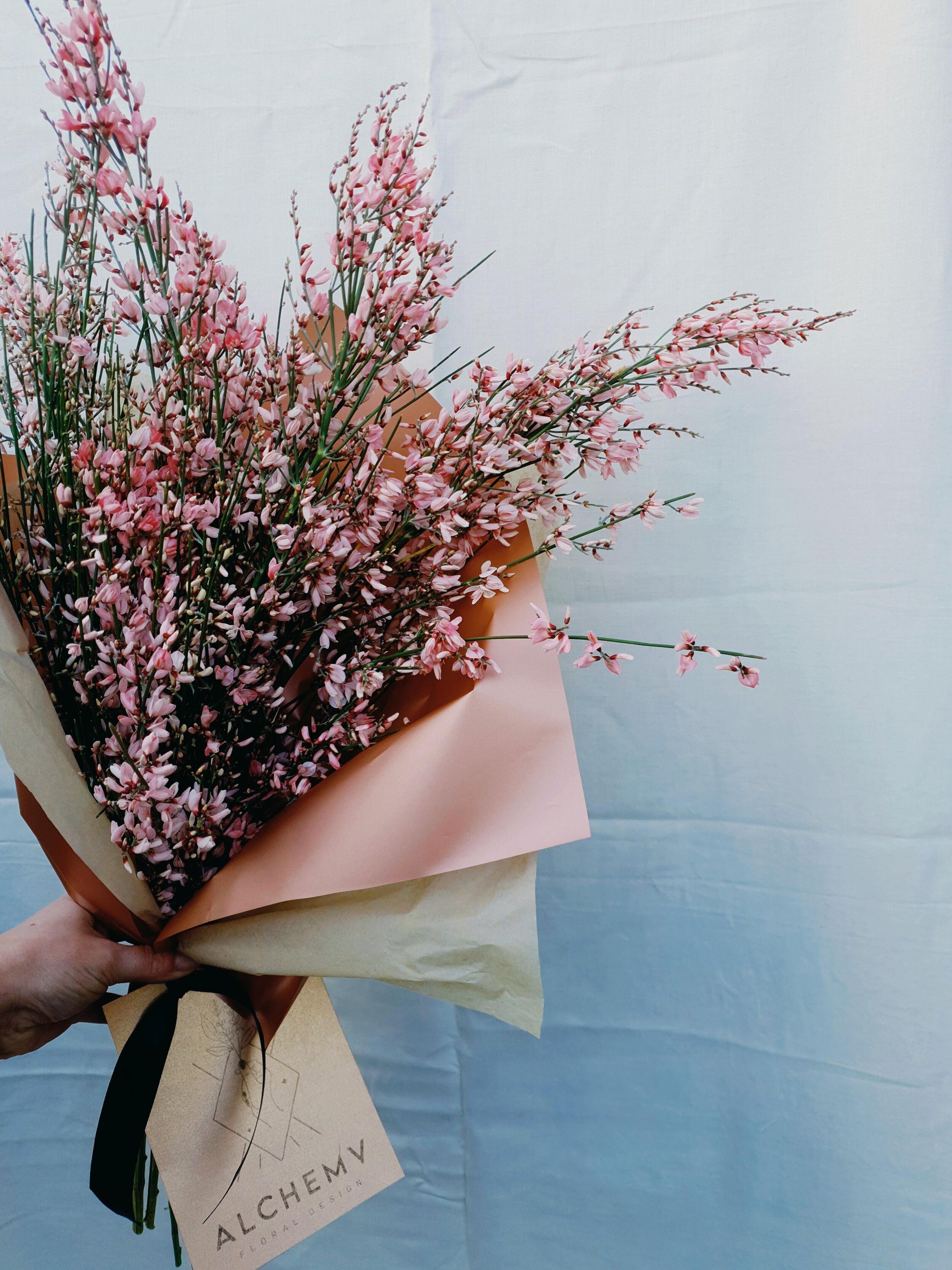 ALCHEMY - Flower bouquet delivery , Falkirk, Stirling