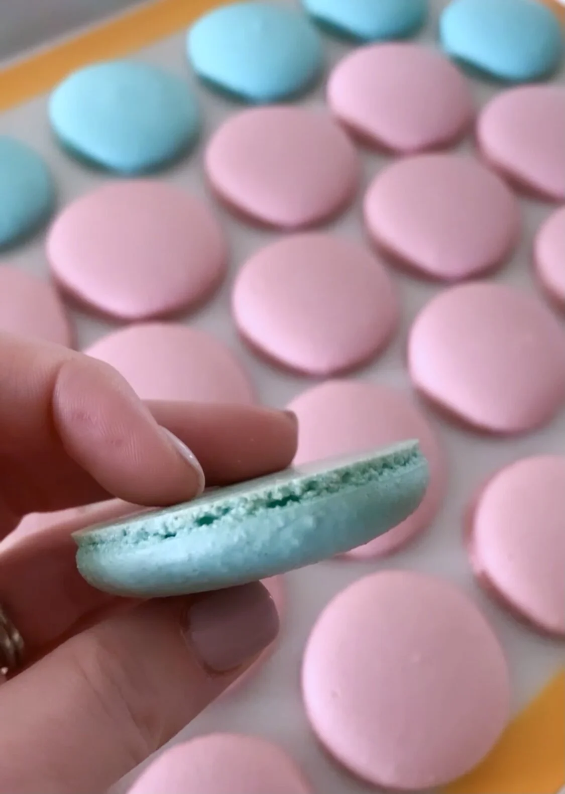 Services 2 — Cakesmith Baking Co.