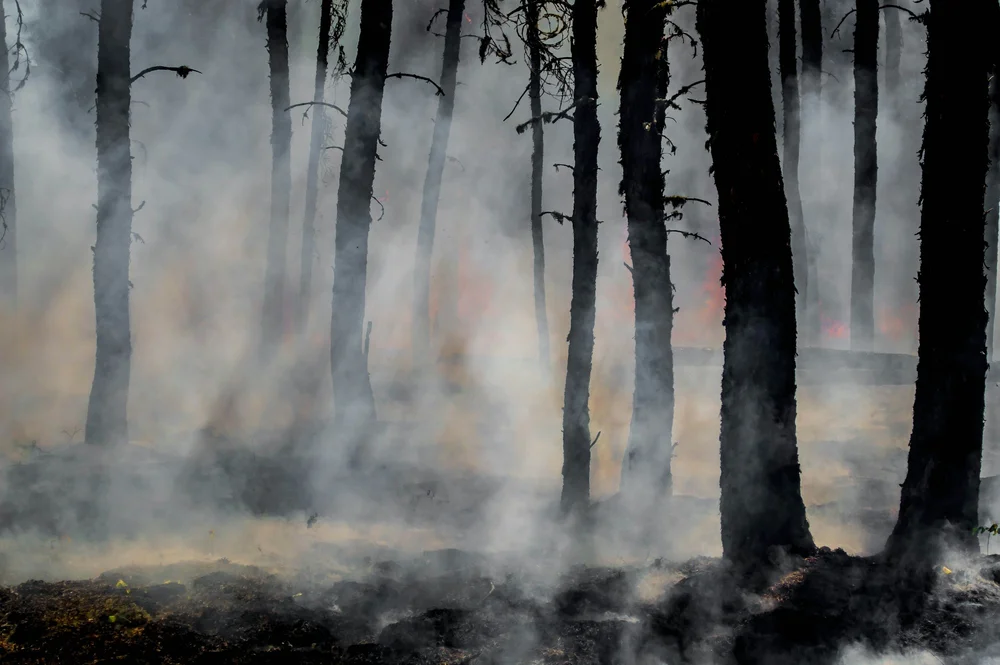 How Natural Disasters Affect Health Conditions and Healthcare Provision ...