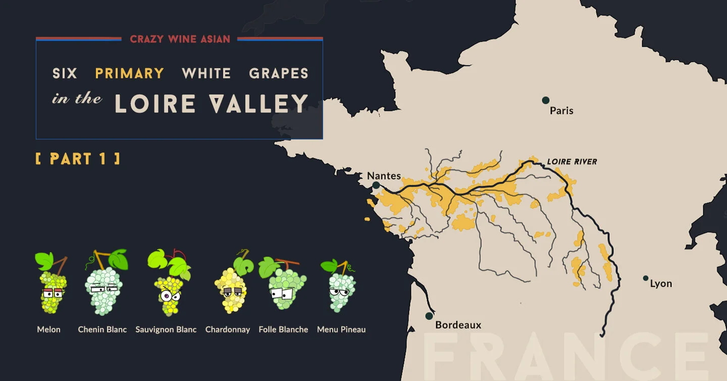 Six primary white grapes in the Loire Valley [infographic] — Crazy Wine ...