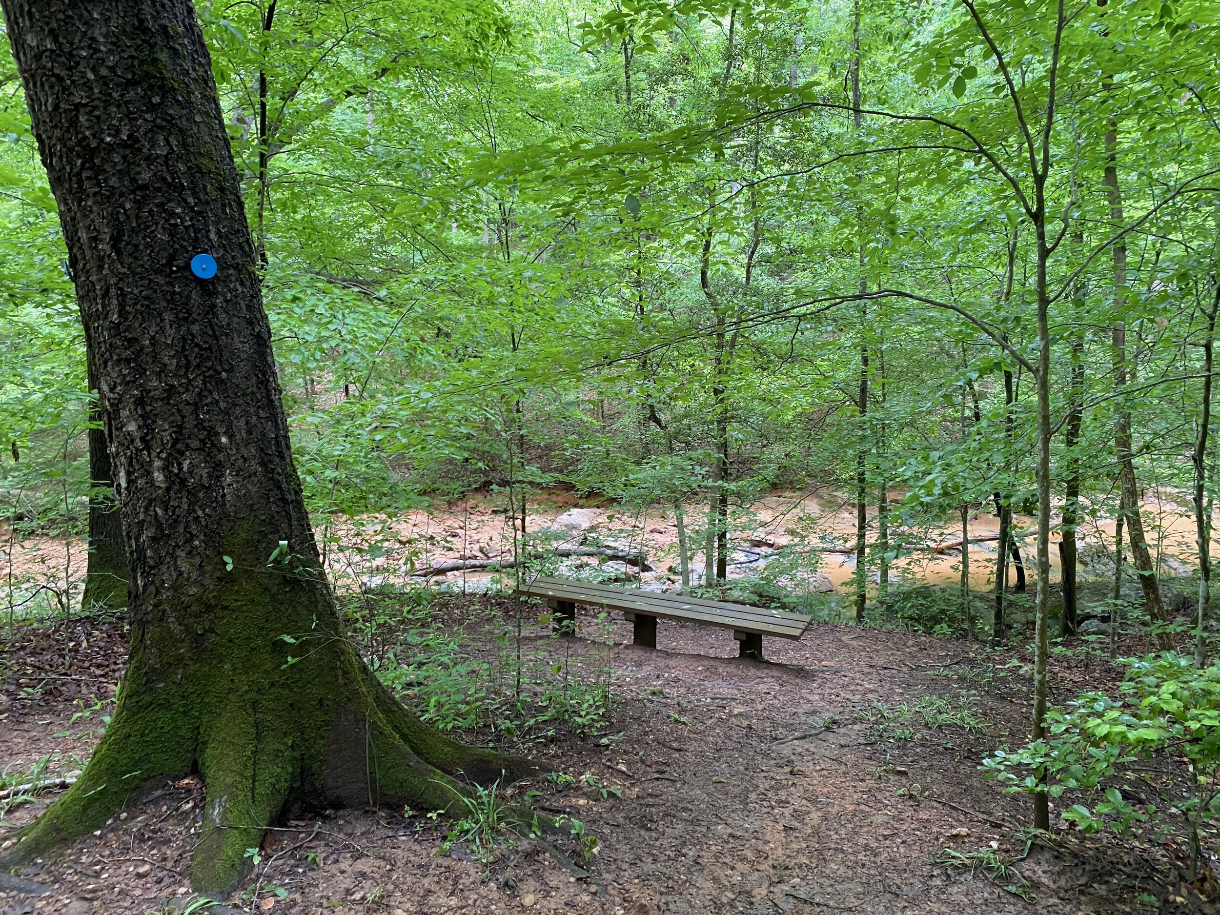 The other Pilot Mountain State Park — Jomeokee Campground