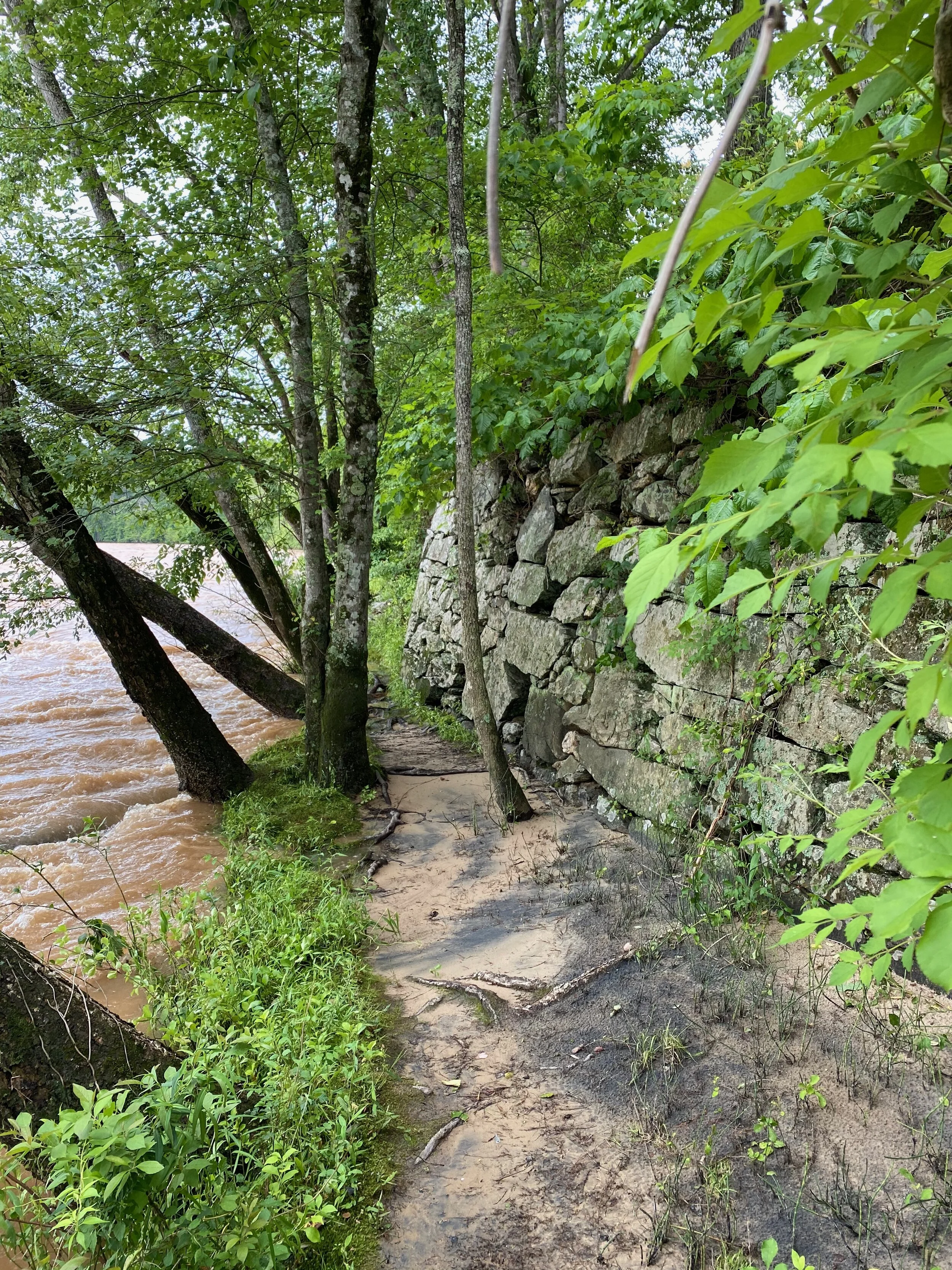 The other Pilot Mountain State Park — Jomeokee Campground