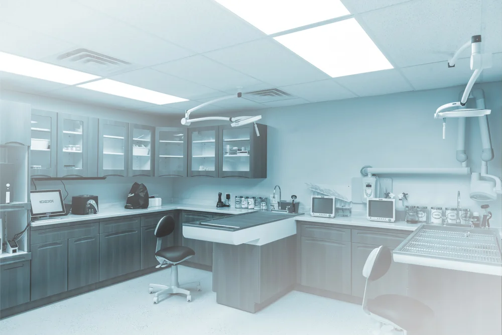 About NVC — Neighborhood Veterinary Care