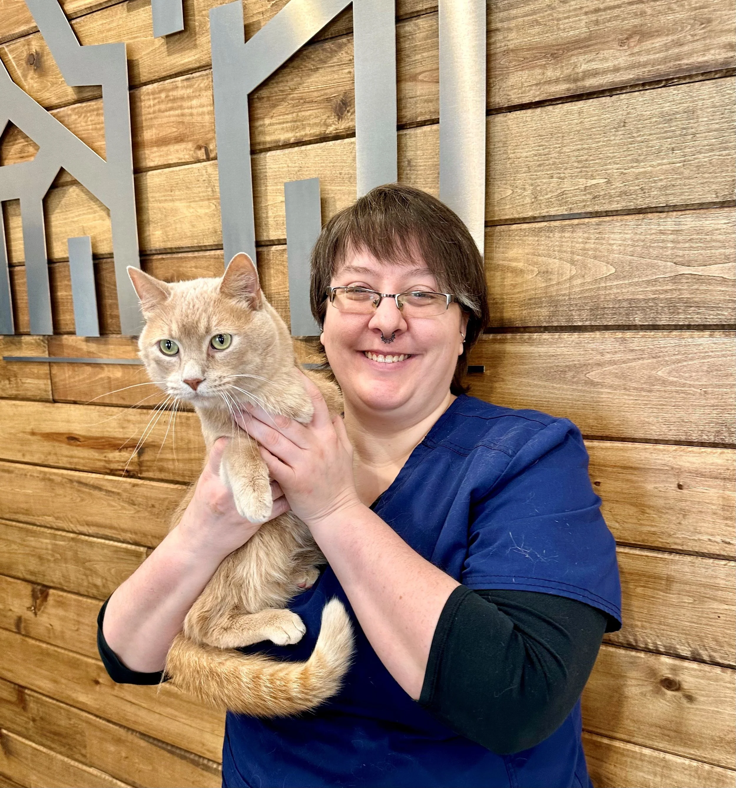 About NVC — Neighborhood Veterinary Care