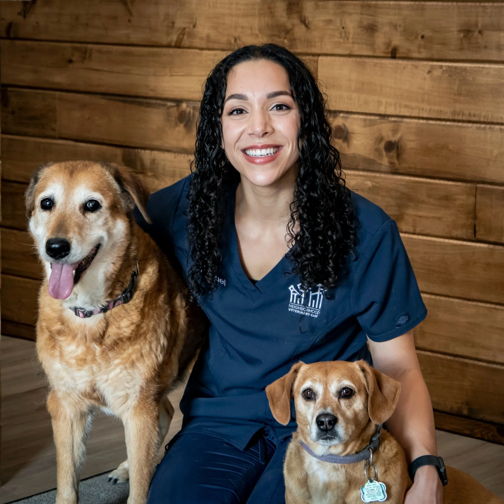 About NVC — Neighborhood Veterinary Care