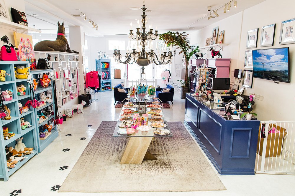 The Vanderpump Dog Foundation