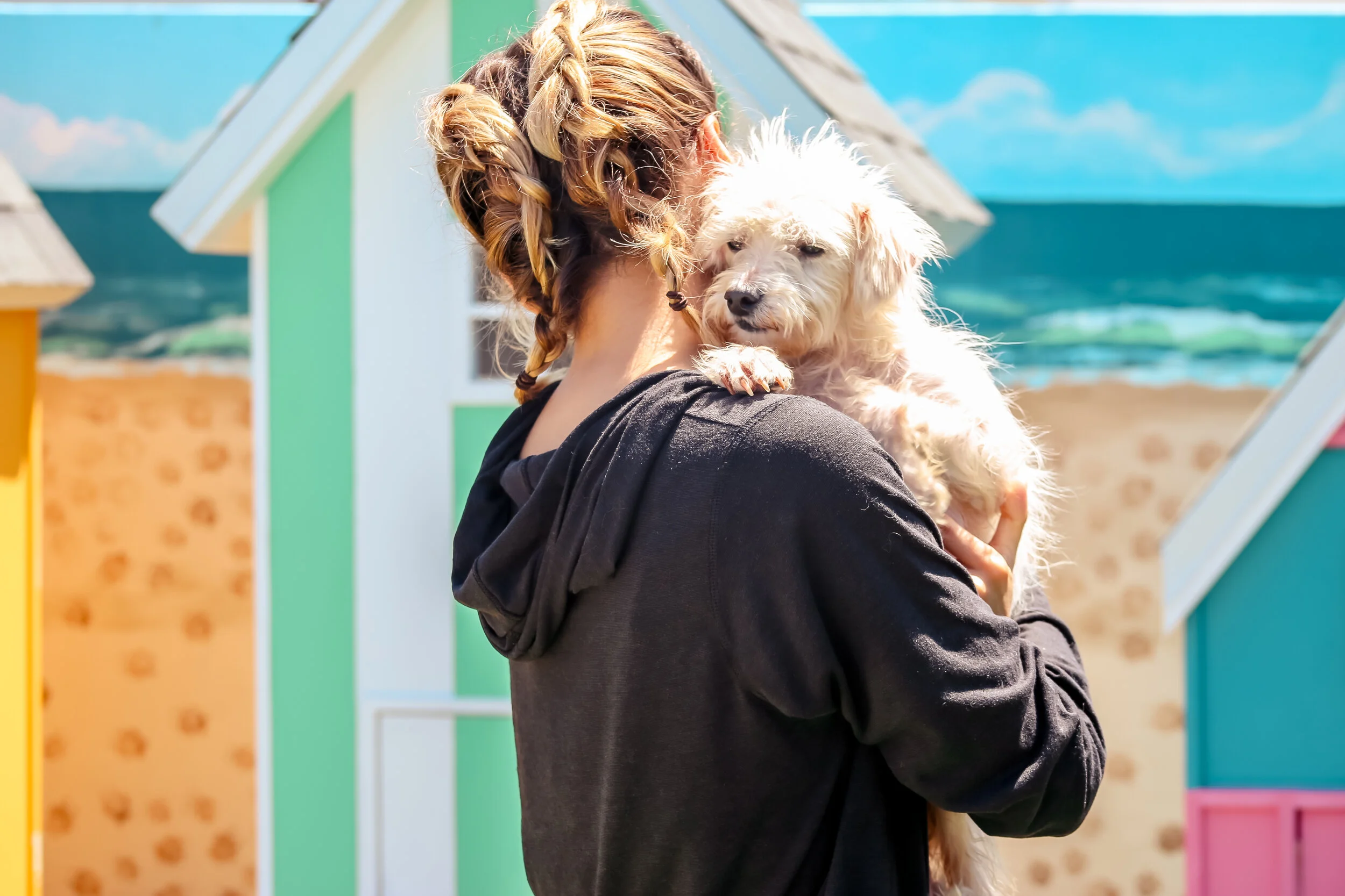 The Vanderpump Dog Foundation