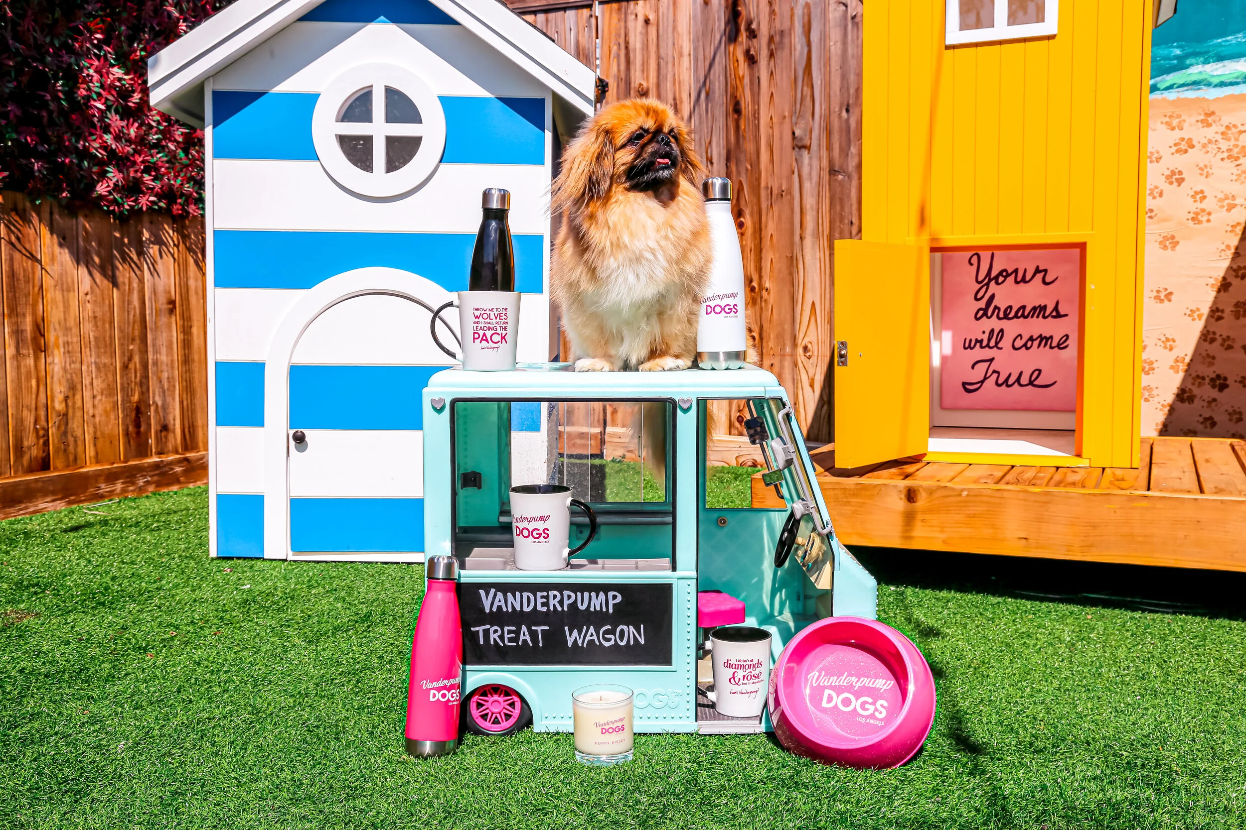 RESCUE CENTER — The Vanderpump Dog Foundation