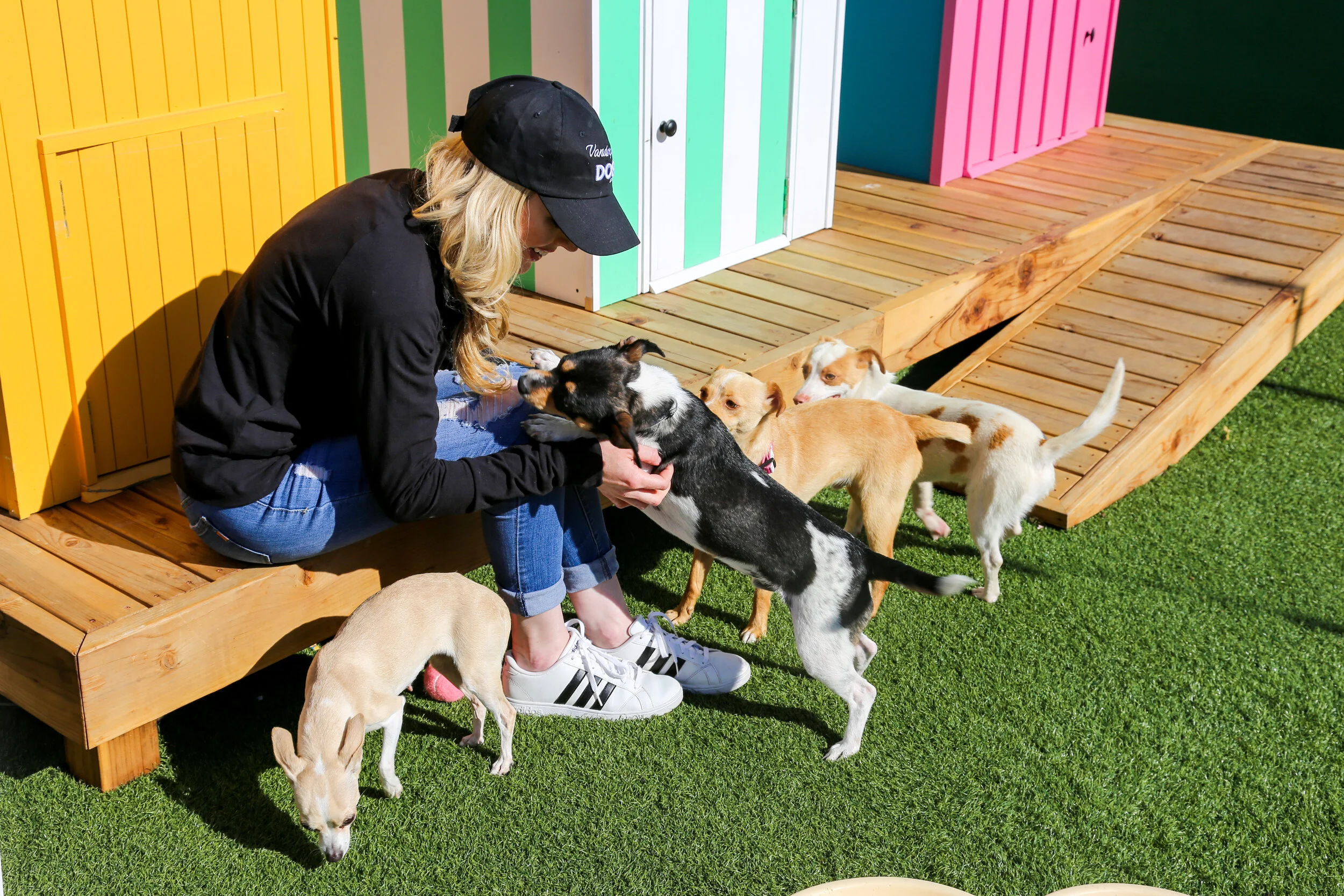 ADOPTION & RESCUE — The Vanderpump Dog Foundation