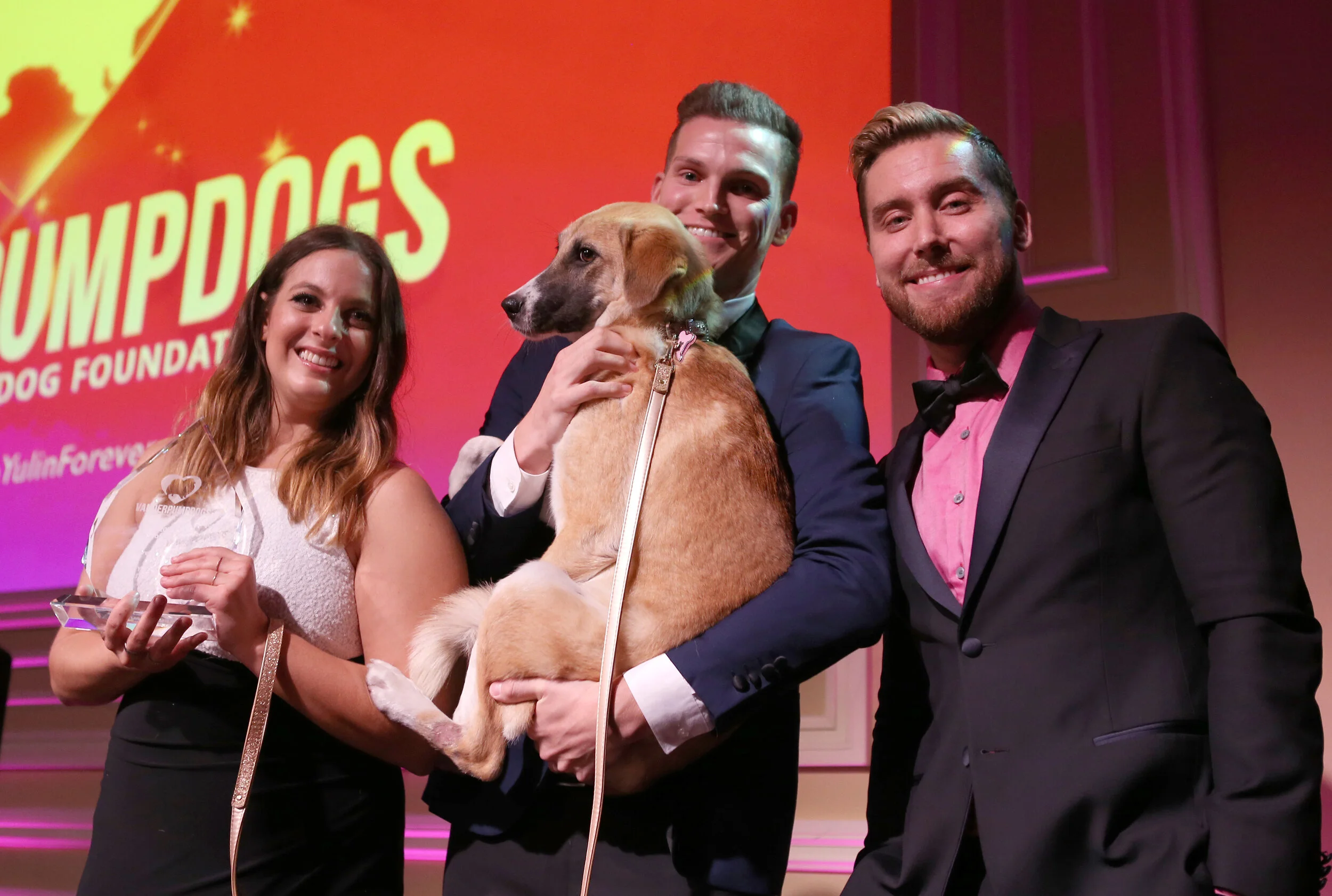 THE VANDERPUMP DOG FOUNDATION GALA — The Vanderpump Dog Foundation