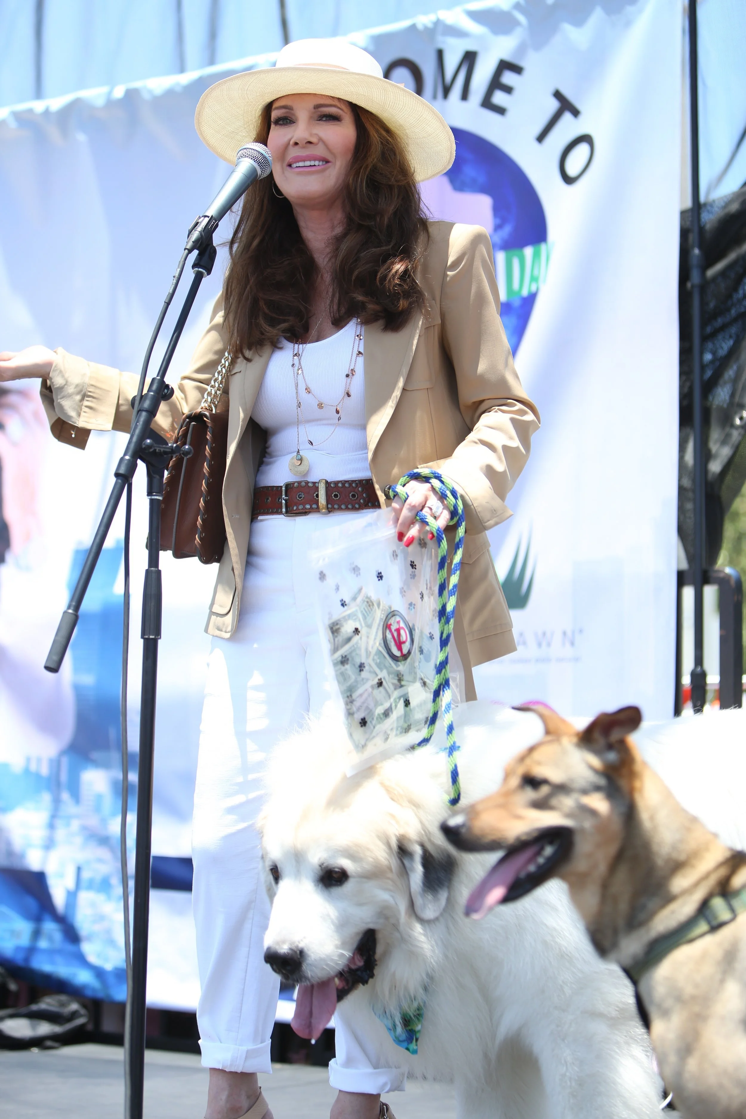 WORLD DOG DAY — The Vanderpump Dog Foundation