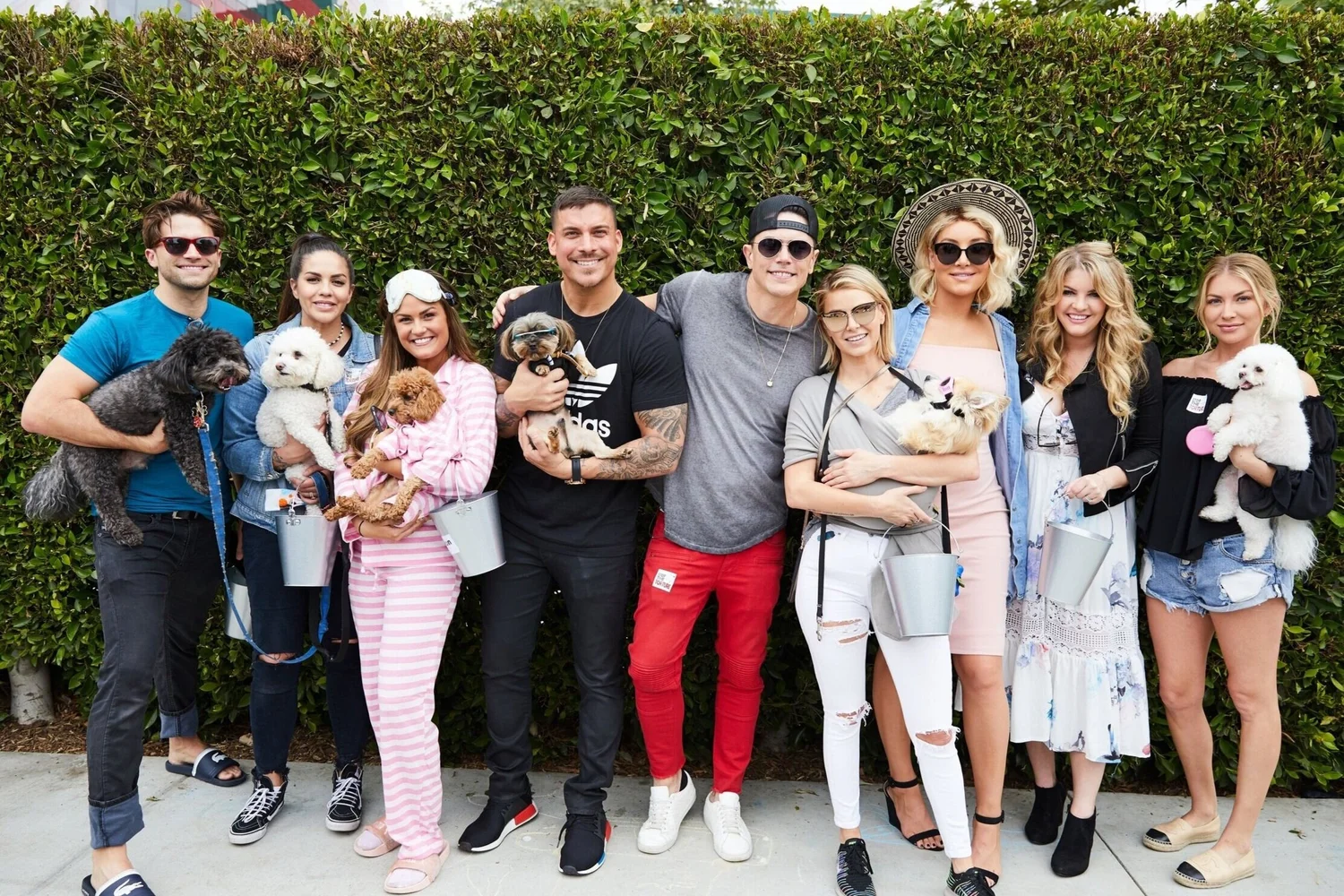 WORLD DOG DAY — The Vanderpump Dog Foundation