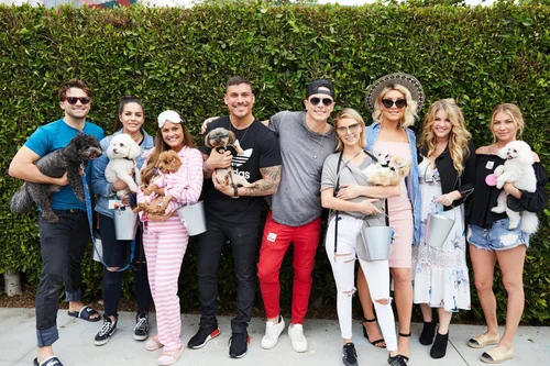 WORLD DOG DAY — The Vanderpump Dog Foundation