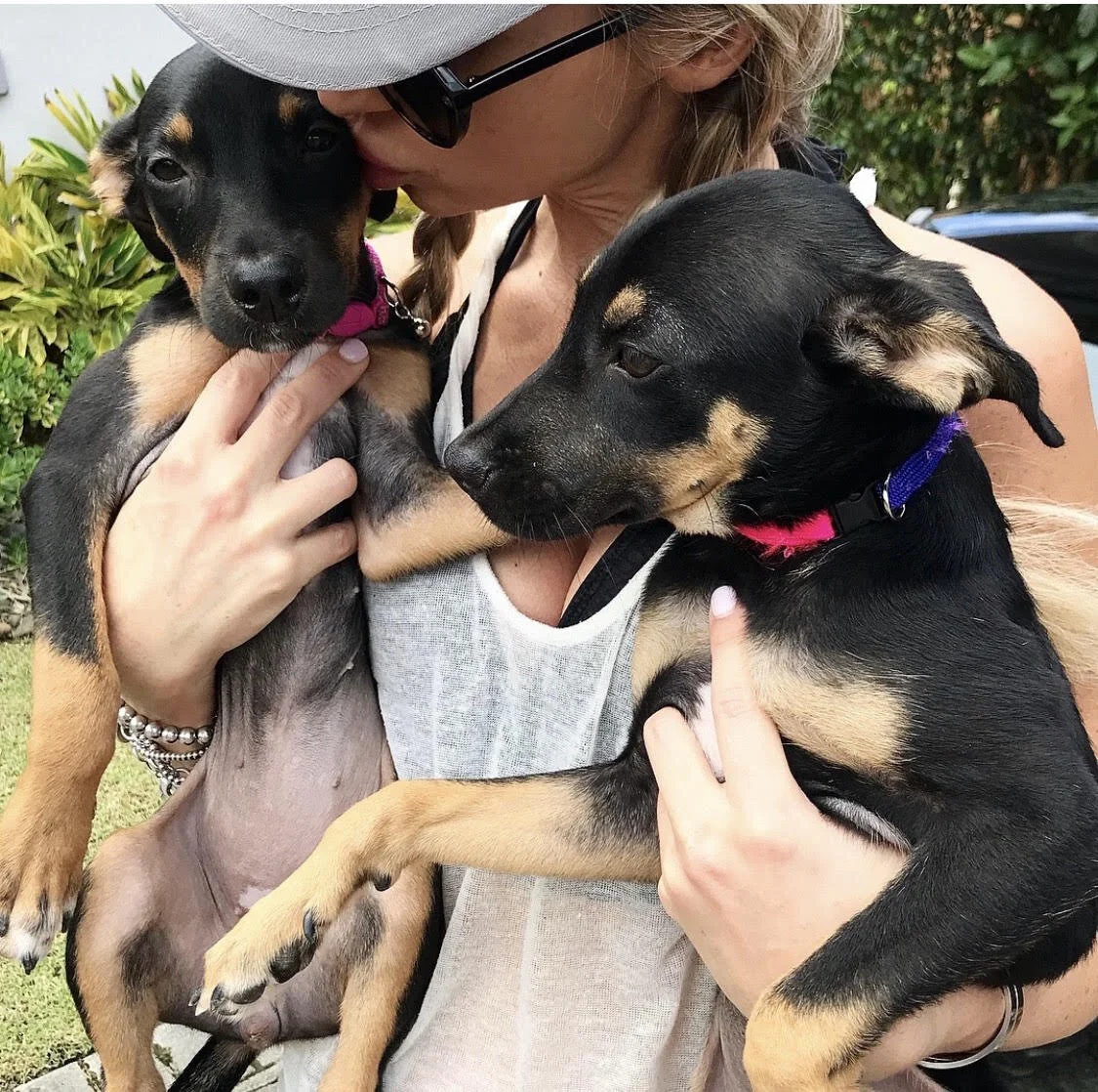 INTERNATIONAL PROGRAMS — The Vanderpump Dog Foundation