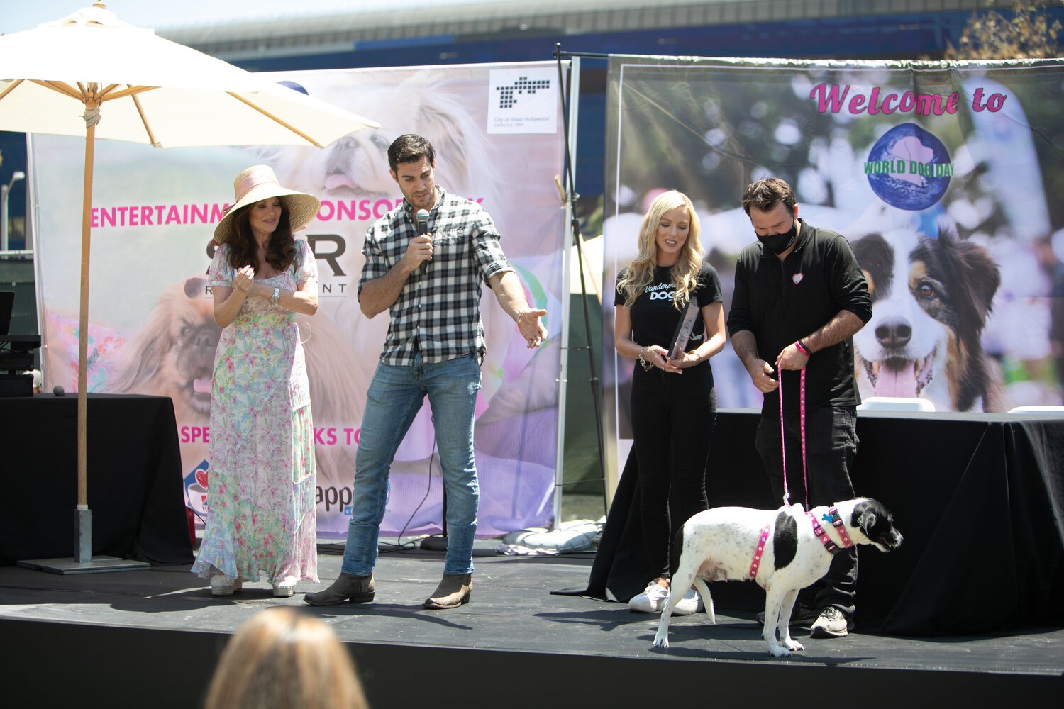 WORLD DOG DAY — The Vanderpump Dog Foundation