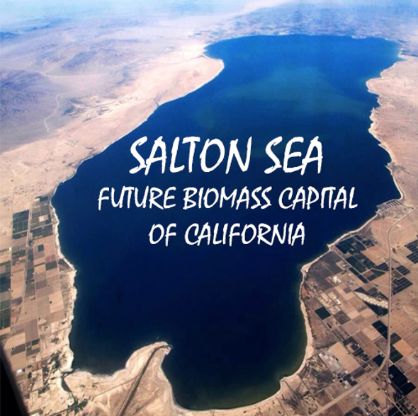 Blog — REGENBIOMASS - dba geo2watts