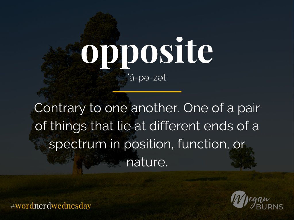 Word Nerd Wednesday: Opposite — Megan Burns