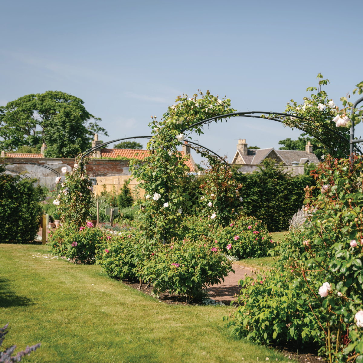 Gardeners' Question Time — Archerfield Walled Garden