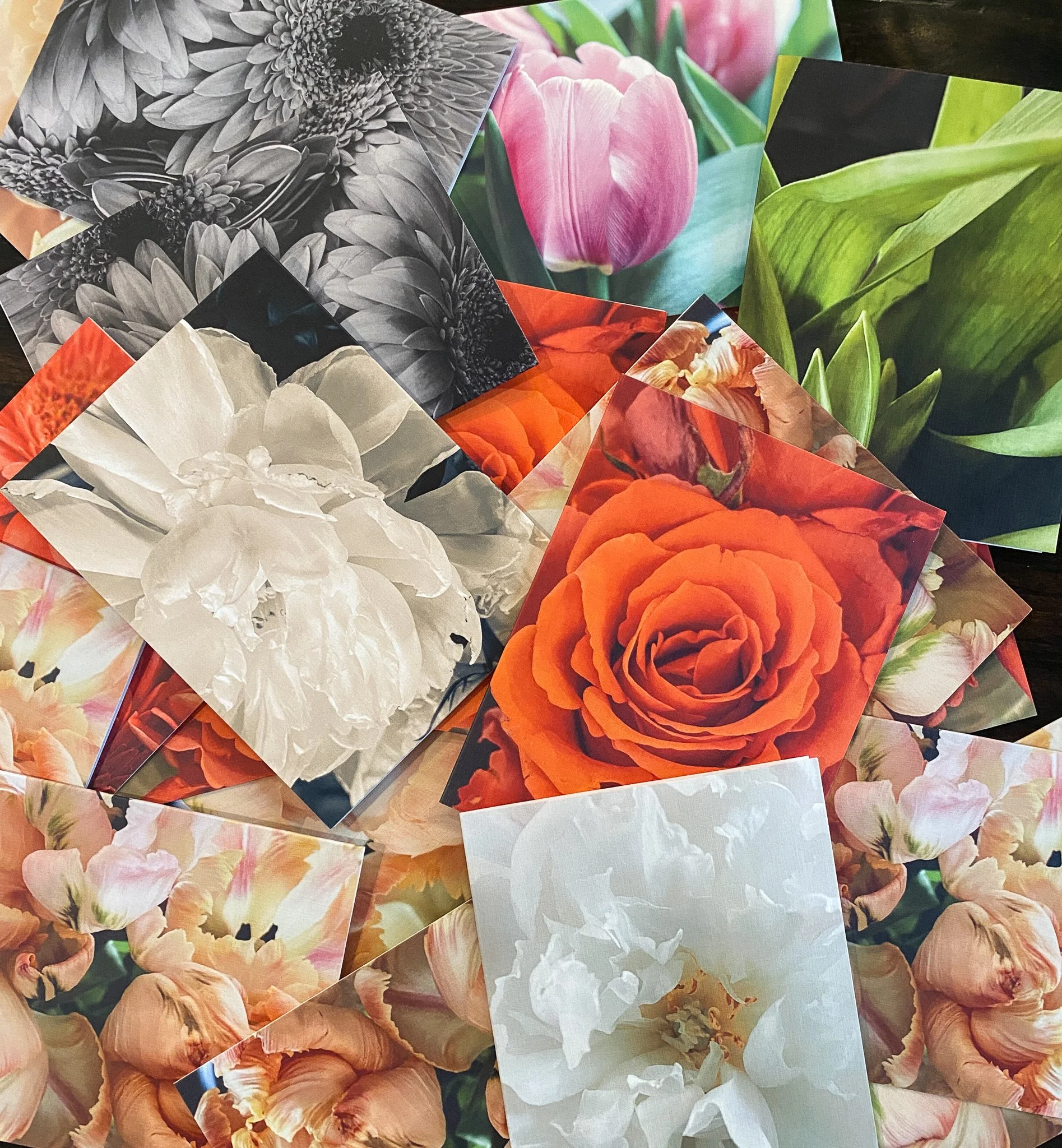 Shop — laura.a.westbrook